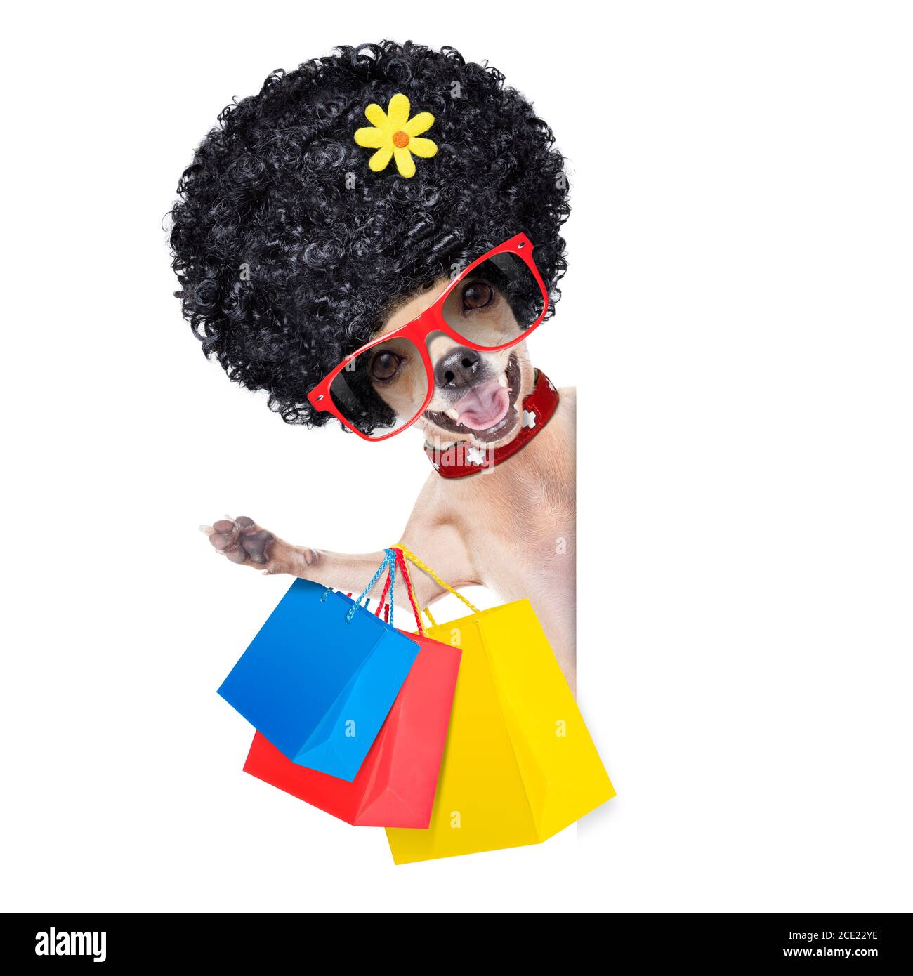 Crazy shopper hi-res stock photography and images - Alamy