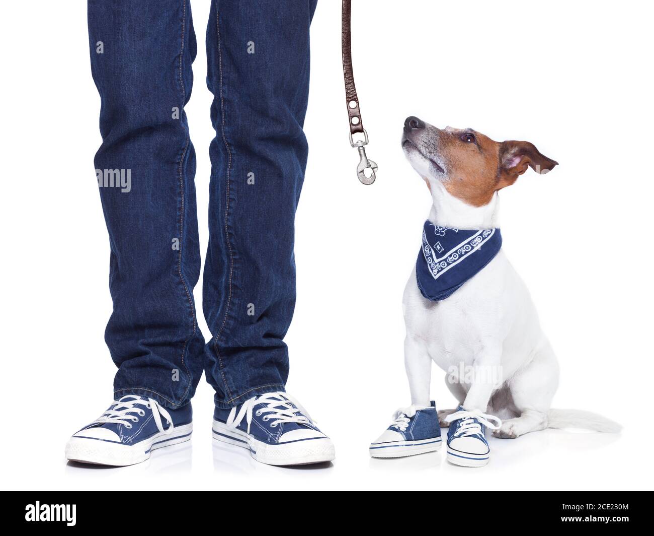 dog owner and dog Stock Photo - Alamy