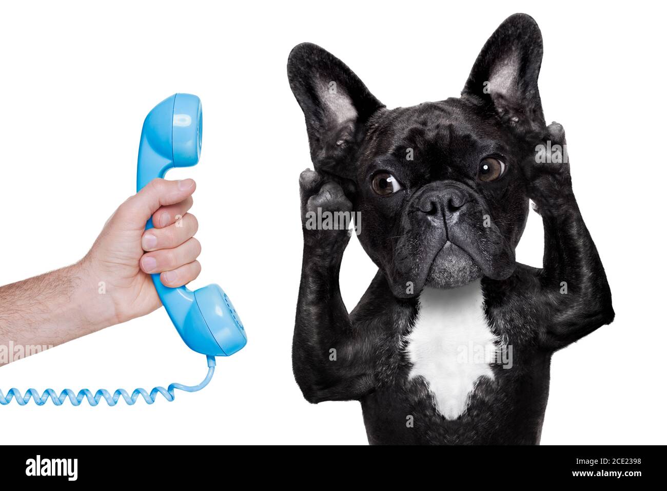 dog phone telpehone Stock Photo - Alamy