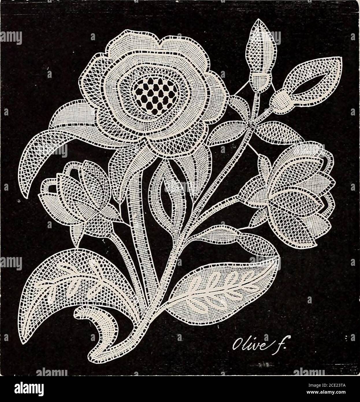 . A history of hand-made lace : dealing with the origin of lace, the ...