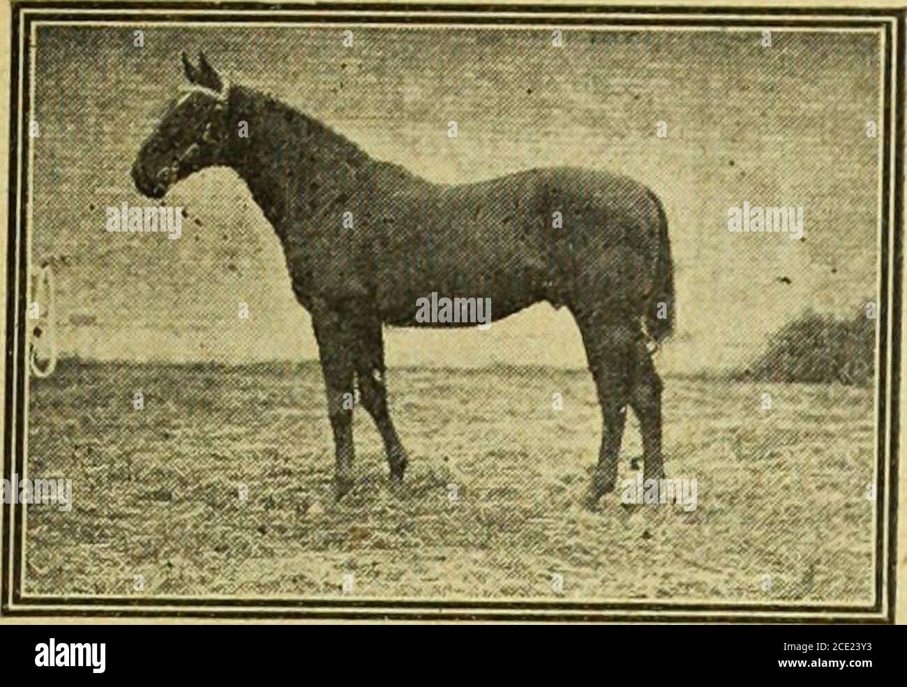 Thornton In Lonsdale High Resolution Stock Photography and Images - Alamy