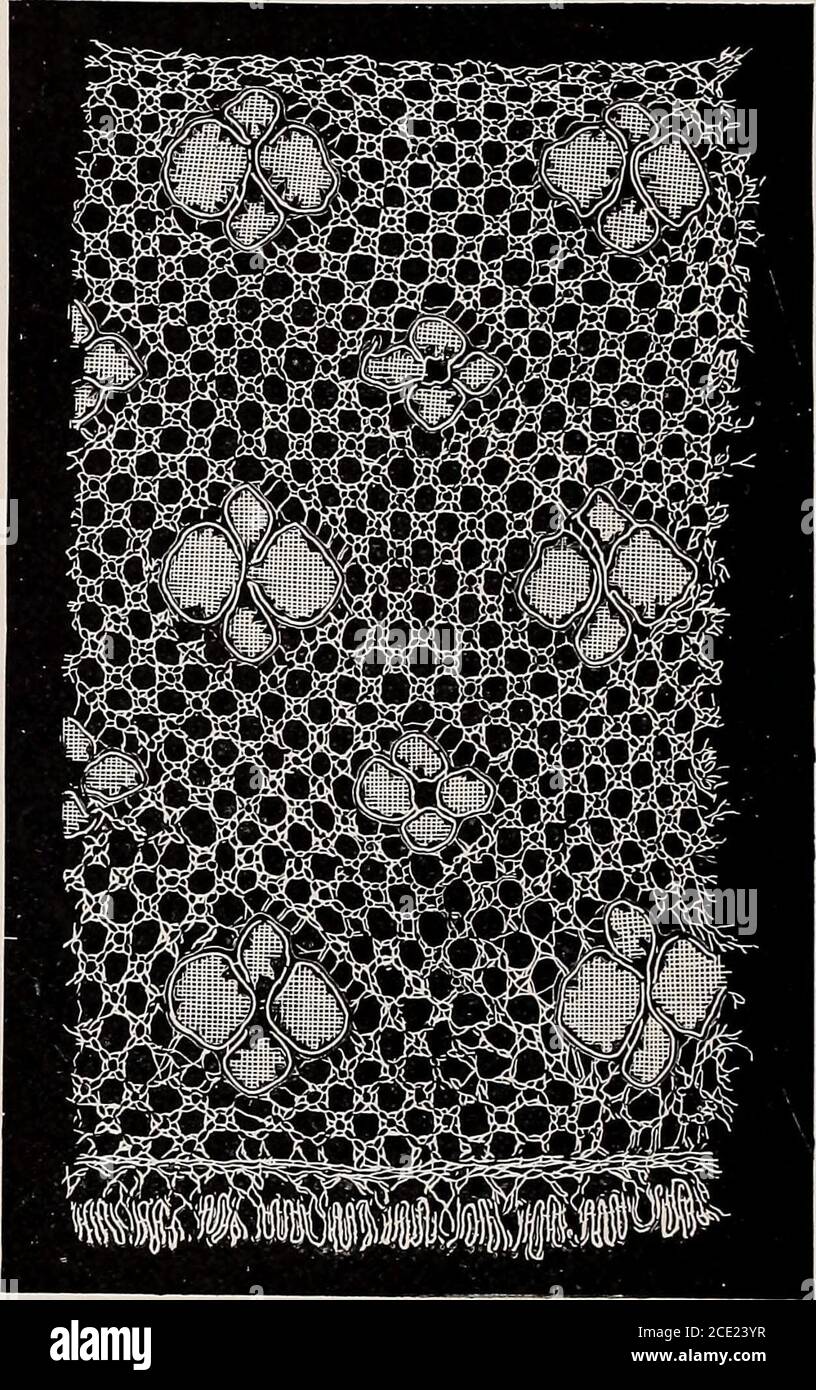 Lacetrade hi-res stock photography and images - Alamy