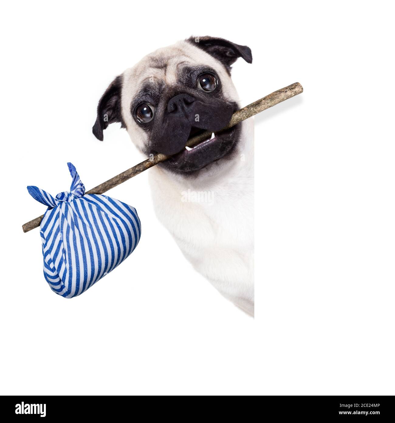 Lost stick Cut Out Stock Images & Pictures - Alamy