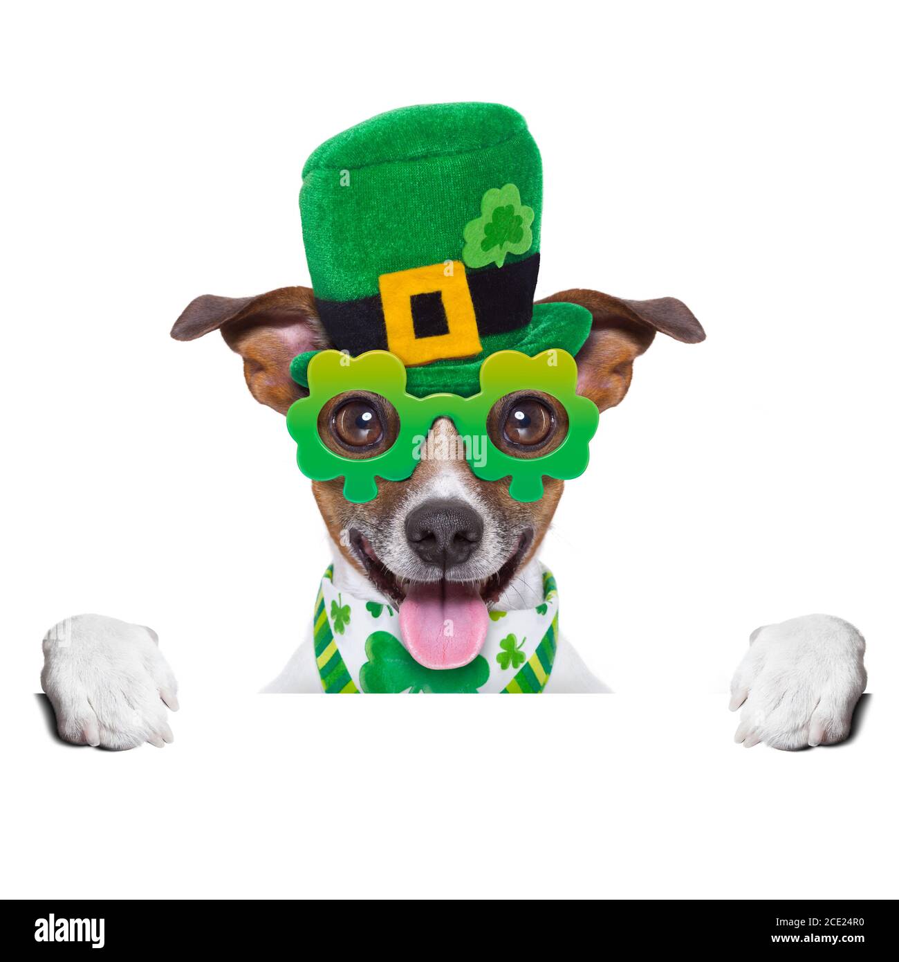 st patricks day dog Stock Photo - Alamy