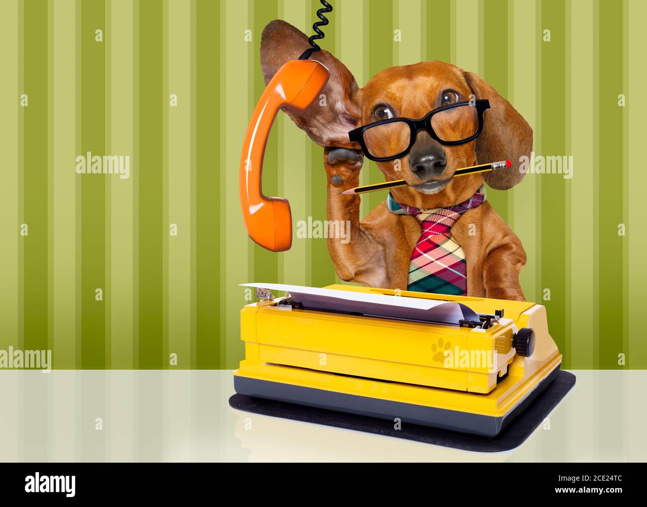 office worker boss dog Stock Photo - Alamy