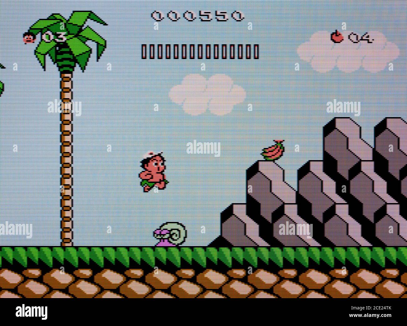 Adventure Island - Nintendo Entertainment System - NES Videogame ...