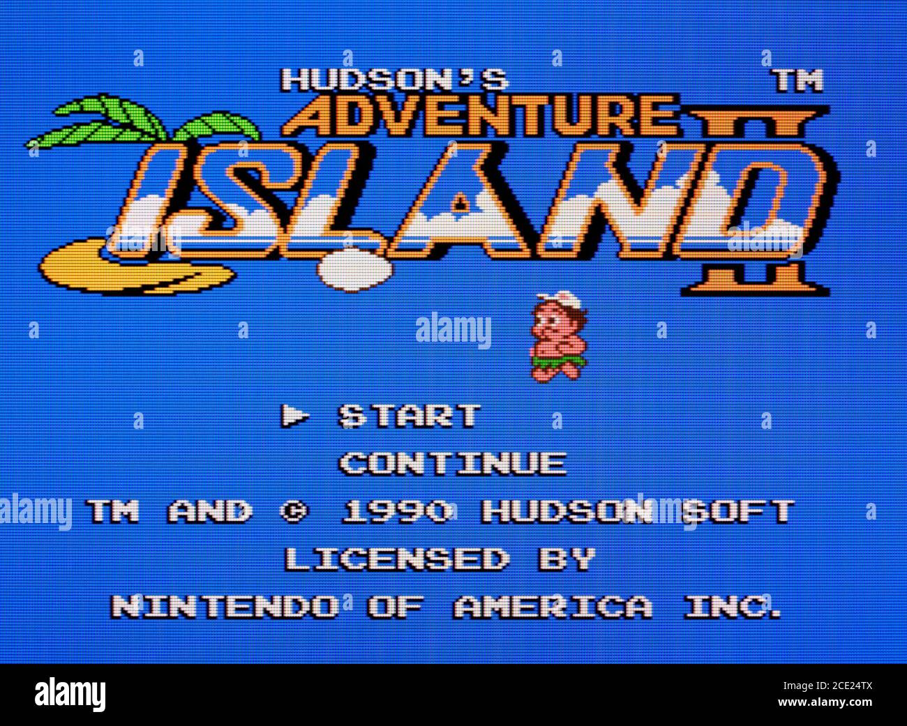 Hudson's Adventure Island II - Nintendo Entertainment System - NES ...