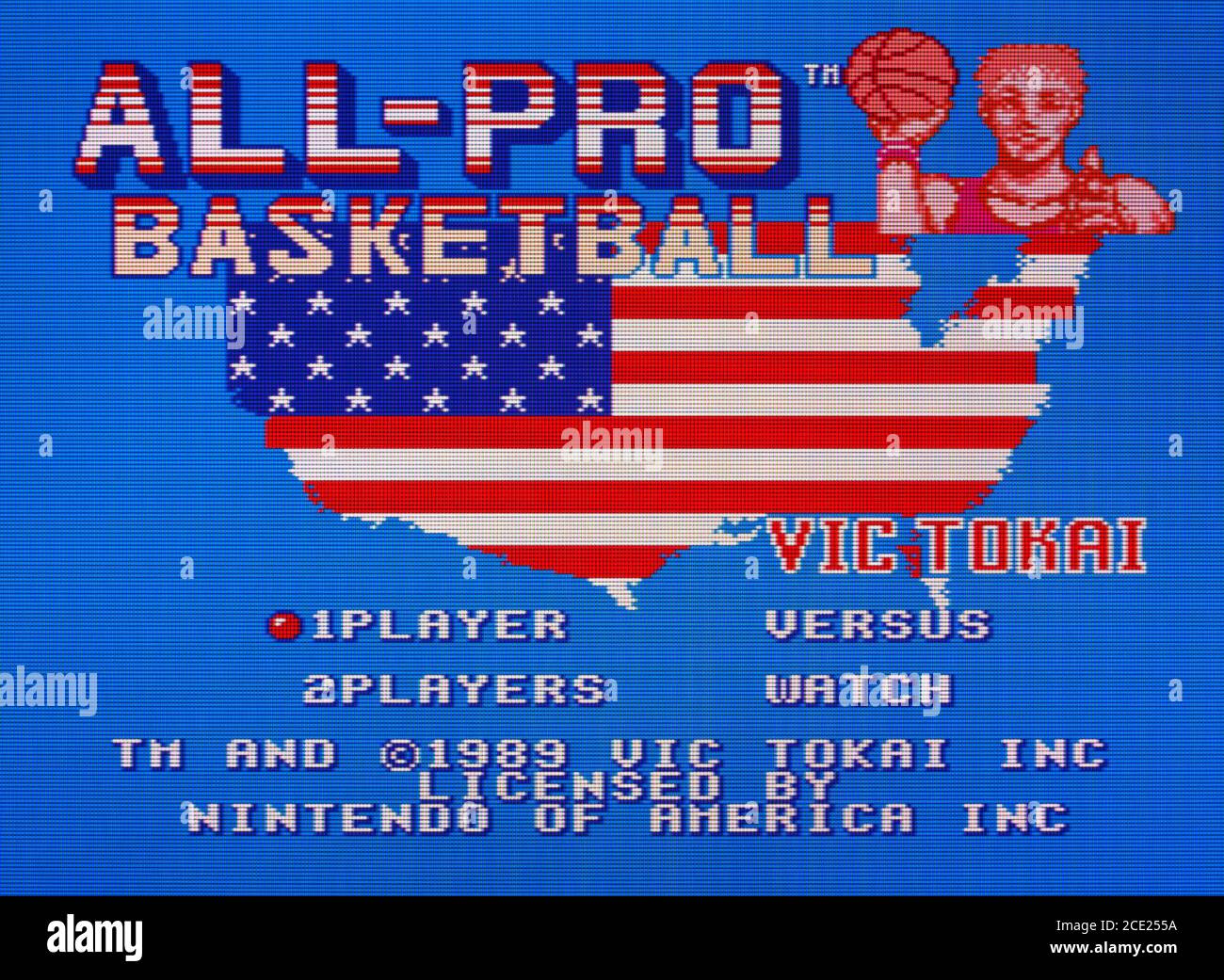 All-Pro Basketball - Nintendo Entertainment System - NES Videogame ...