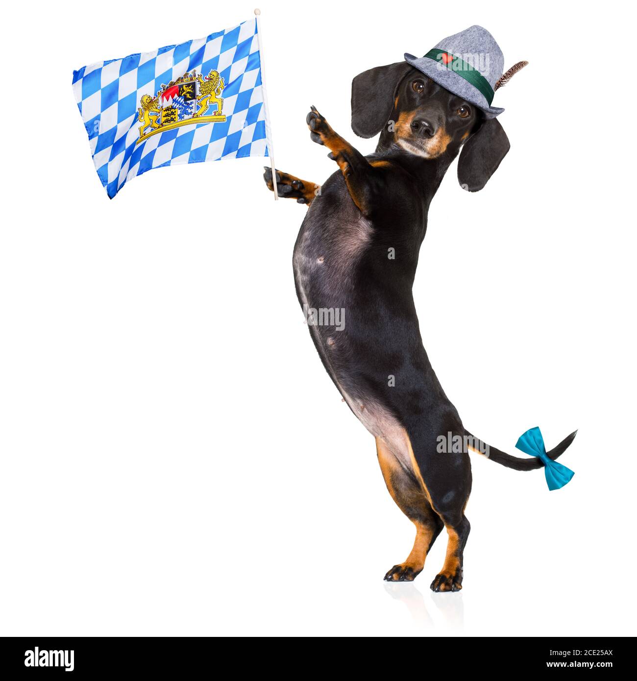 bavarian beer dog Stock Photo - Alamy