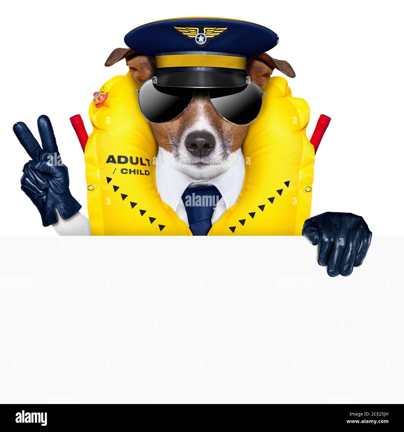 Dog Pilot Cut Out Stock Images & Pictures - Alamy