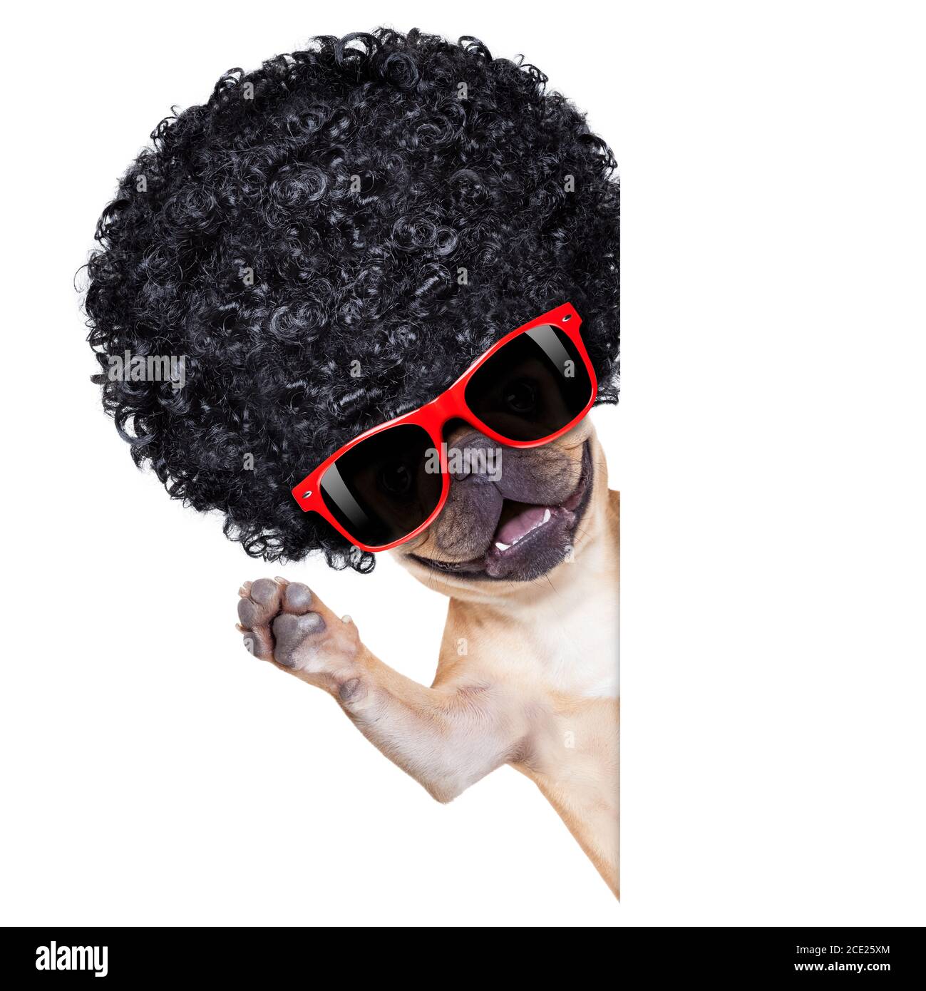 Dog for peace Cut Out Stock Images & Pictures - Alamy