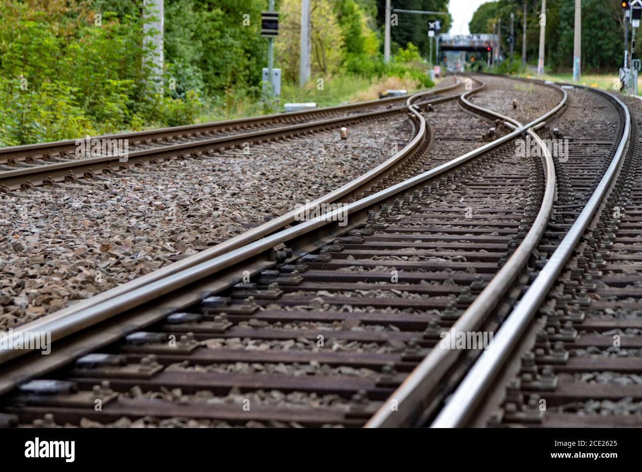 railroad tracks in a countryside surroundes by trees, electrical ...