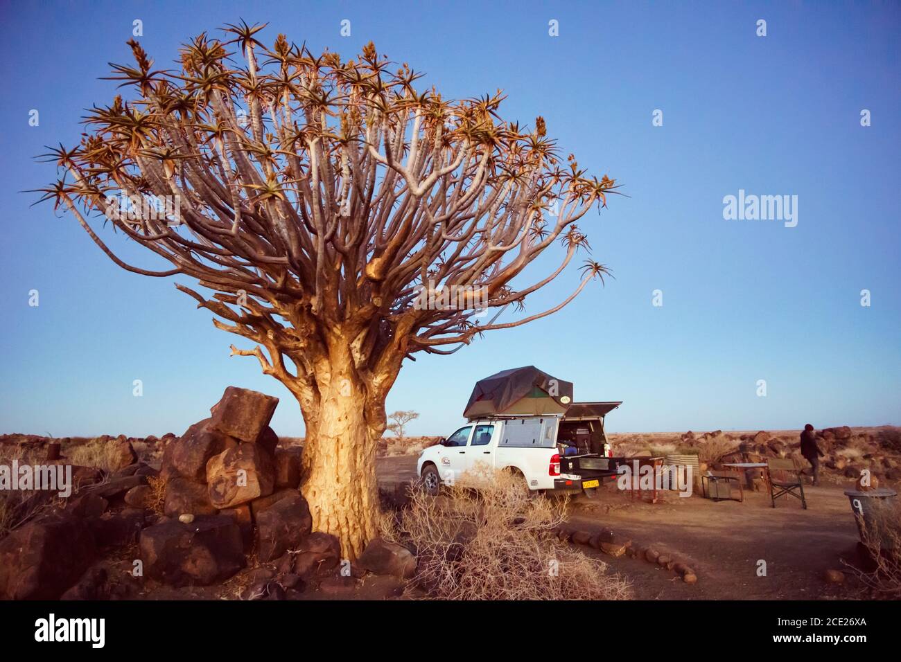 Namibian camping below quiver tree (Namibia Stock Photo - Alamy