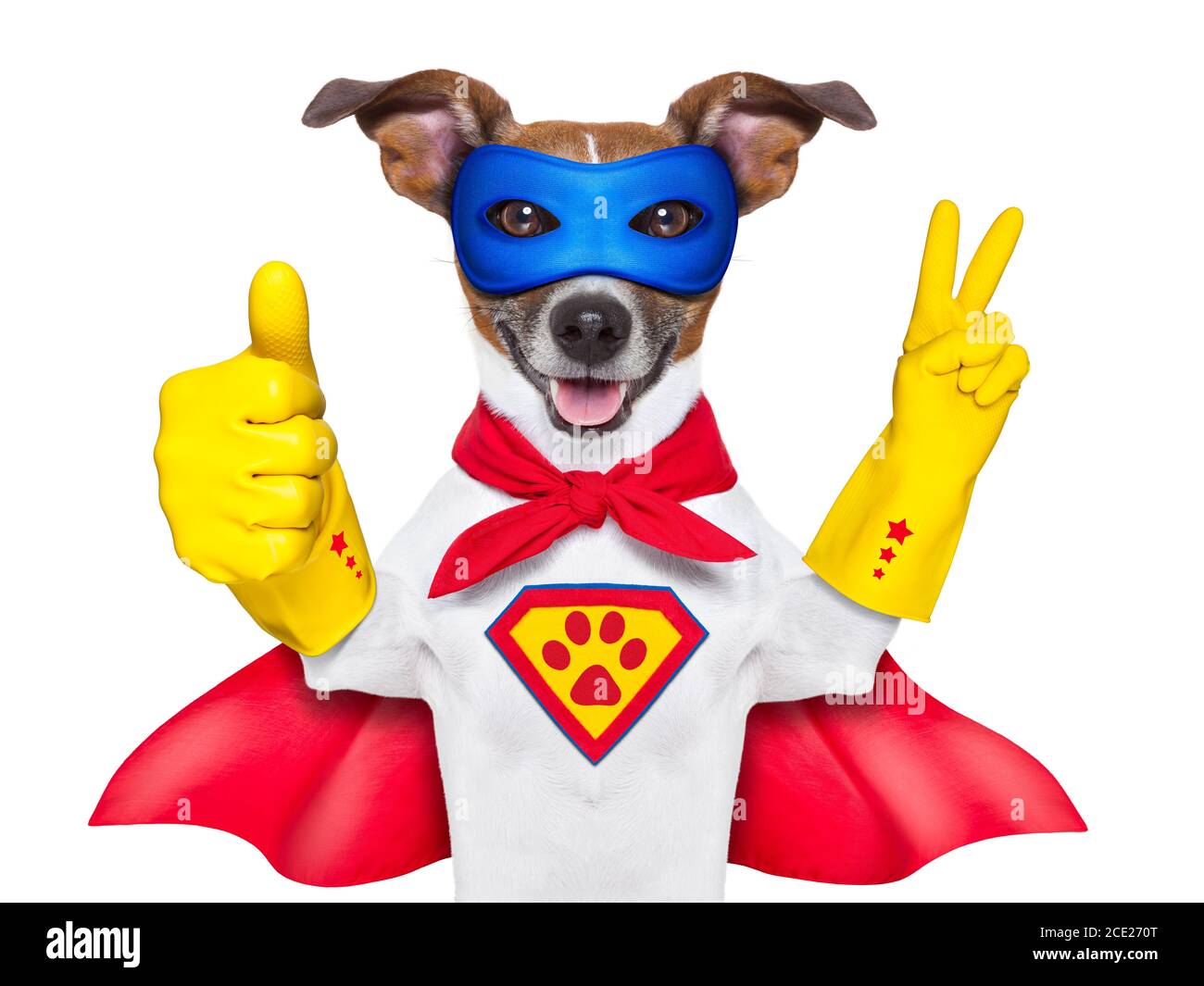 Hero dog hi-res stock photography and images - Alamy