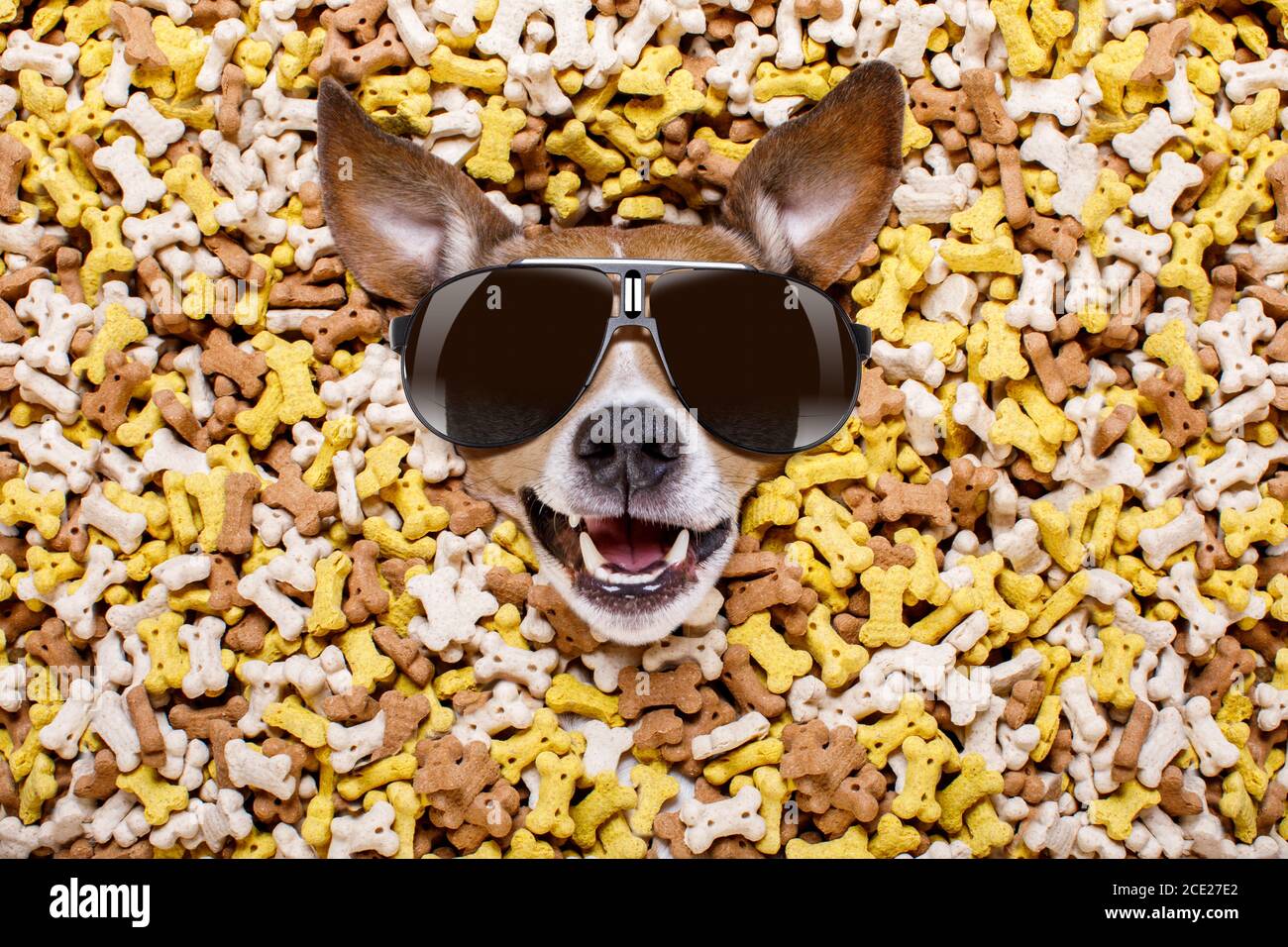 hungry dog in big food mound Stock Photo - Alamy