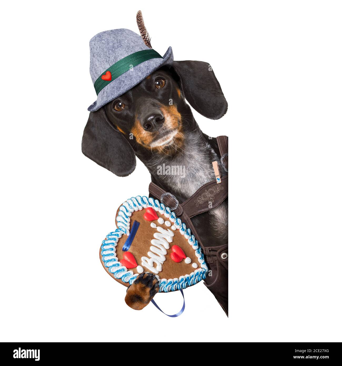 bavarian beer dog Stock Photo - Alamy