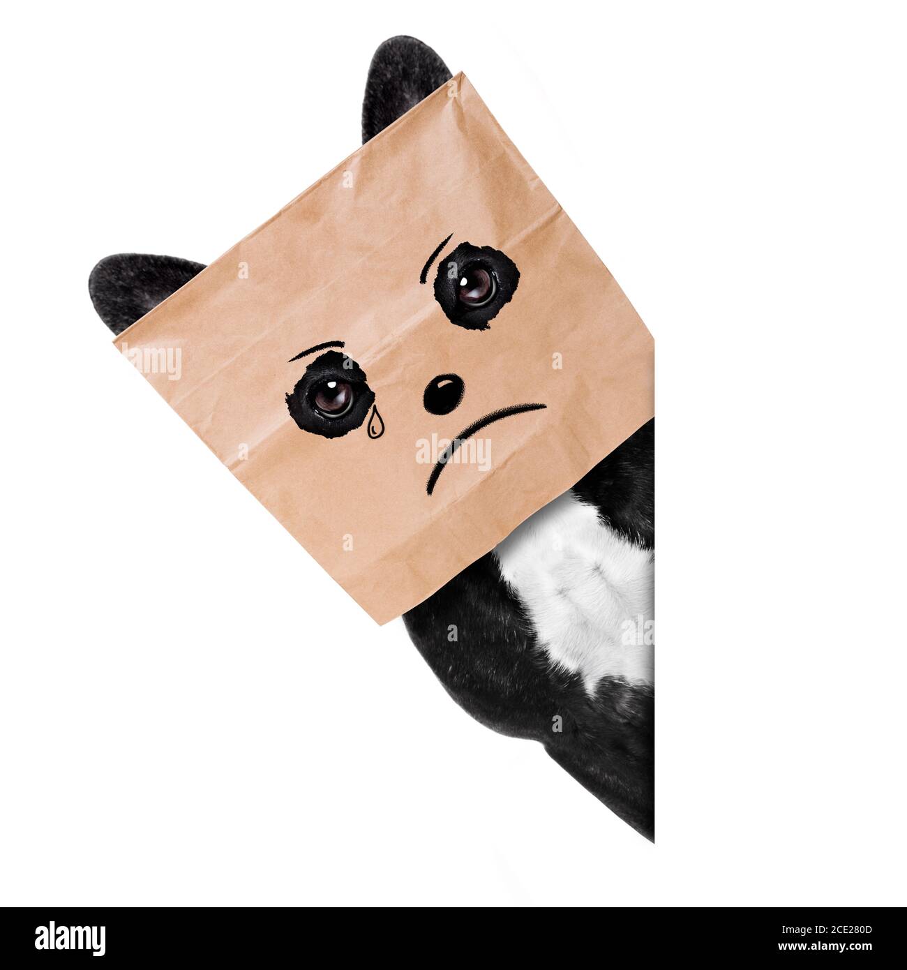 sad crying dog Stock Photo - Alamy