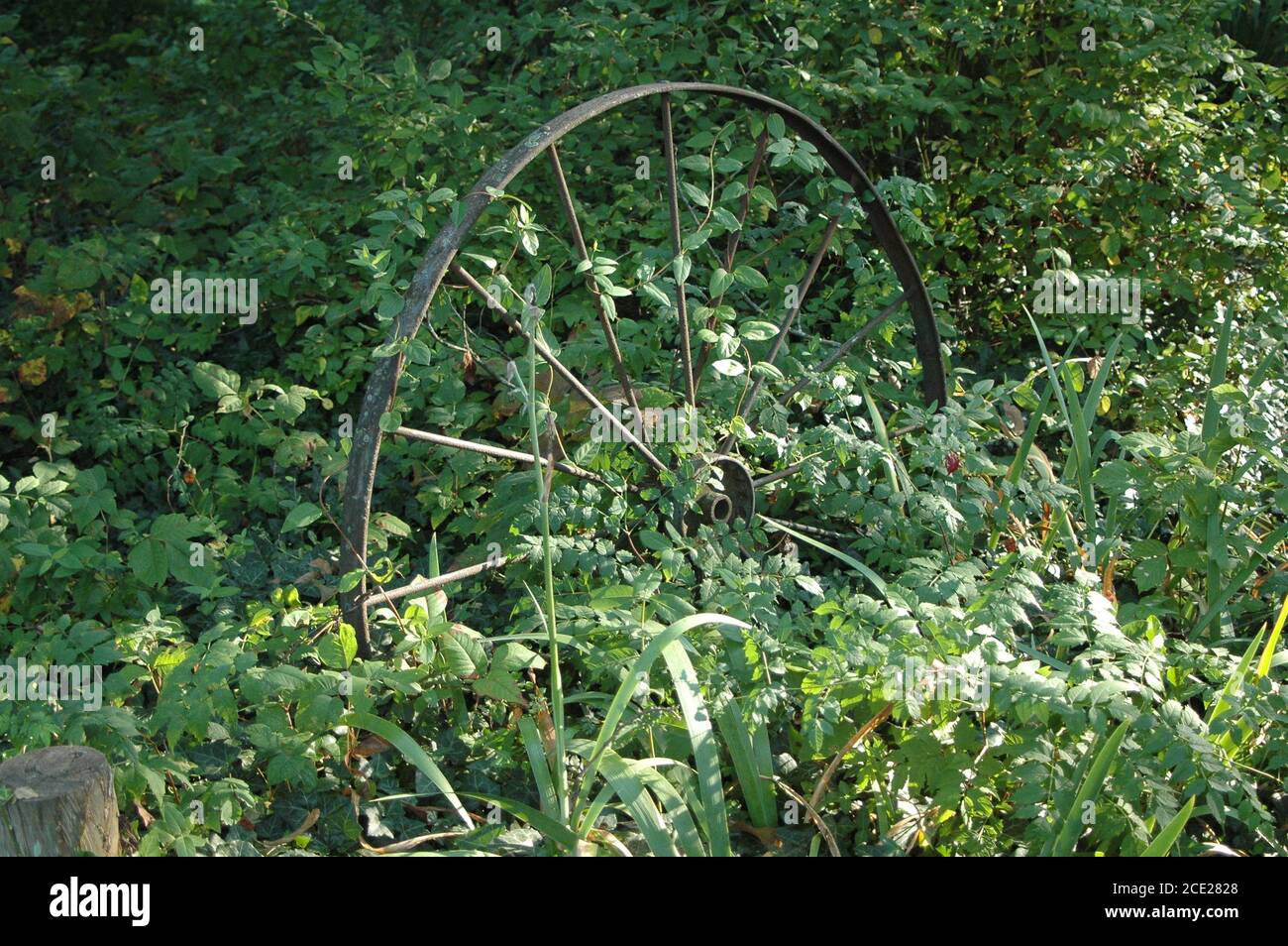 Memory Lane/No Outlet road sign Stock Photo - Alamy