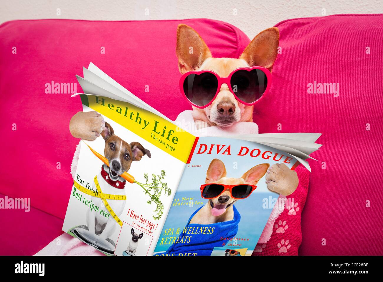 dog spa wellness reading magazine Stock Photo - Alamy