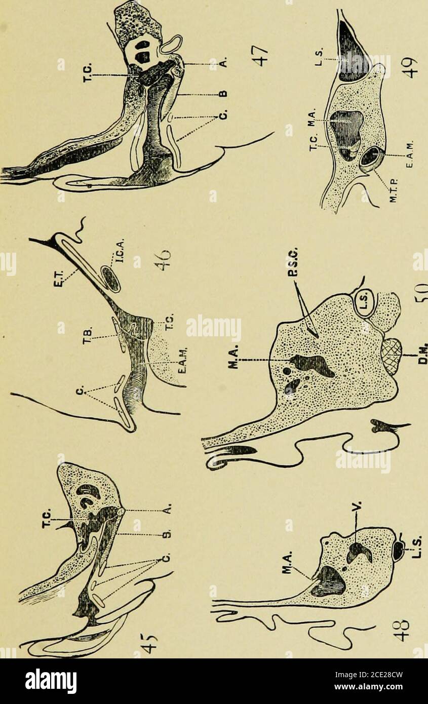 Casein molecule hi-res stock photography and images - Alamy