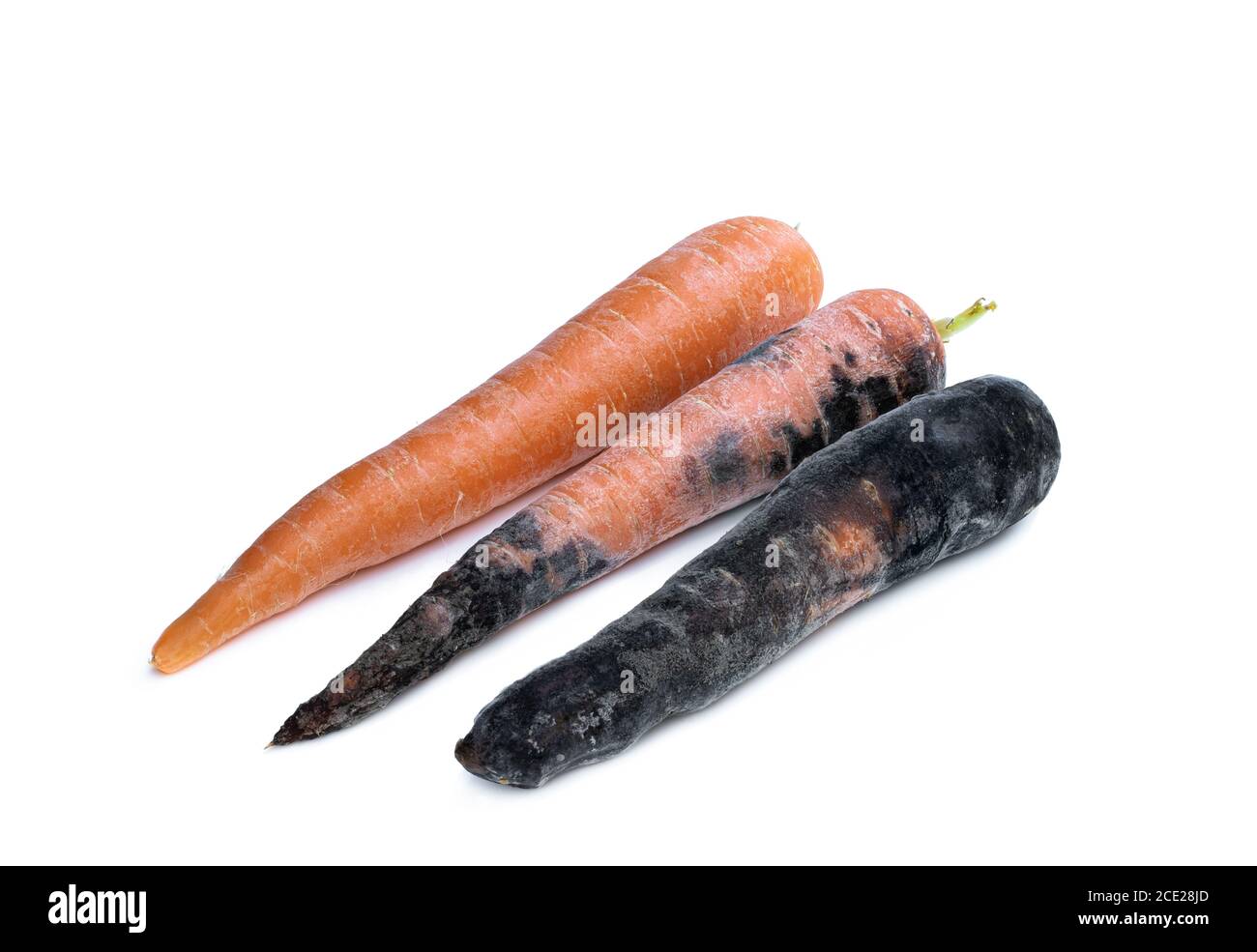 Set of carrots in different stages of decay Stock Photo - Alamy
