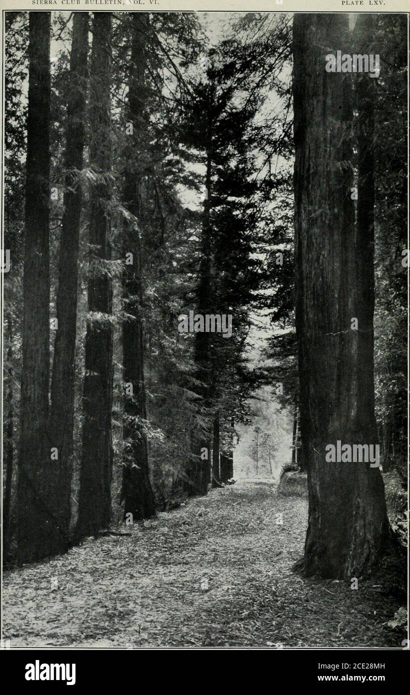 Common muir hi-res stock photography and images - Alamy