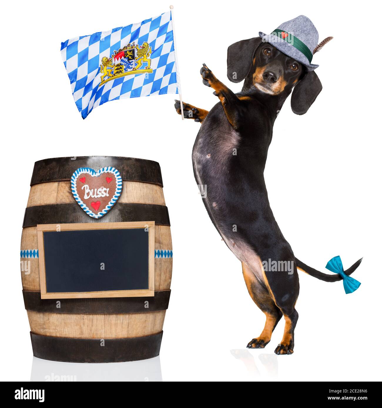 bavarian beer dog Stock Photo - Alamy