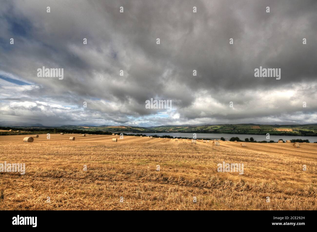 Wheat field in the north of Scotland in September Stock Photo - Alamy