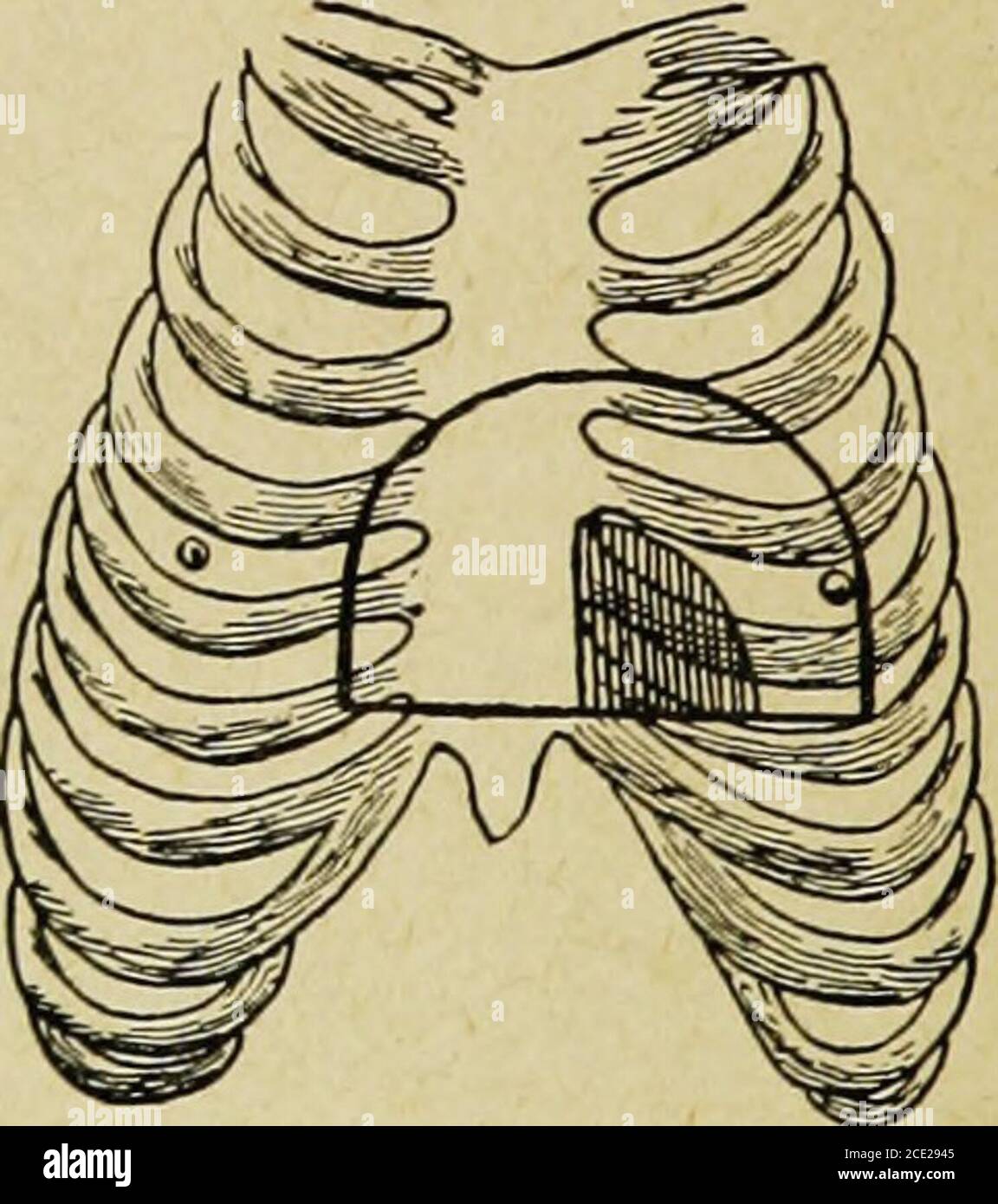 . Lessons on the anatomy, physiology and hygiene of infancy and ...