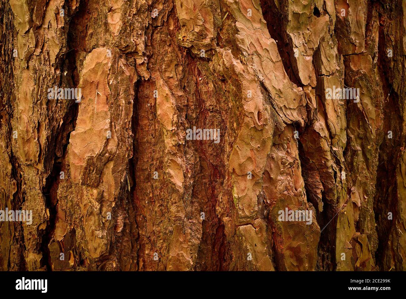 Uneven background hi-res stock photography and images - Alamy