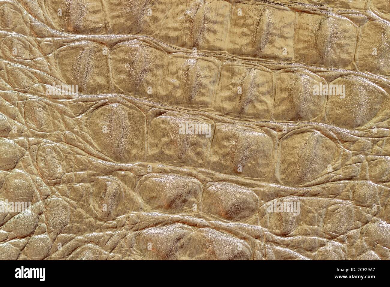 Croco High Resolution Stock Photography and Images - Alamy