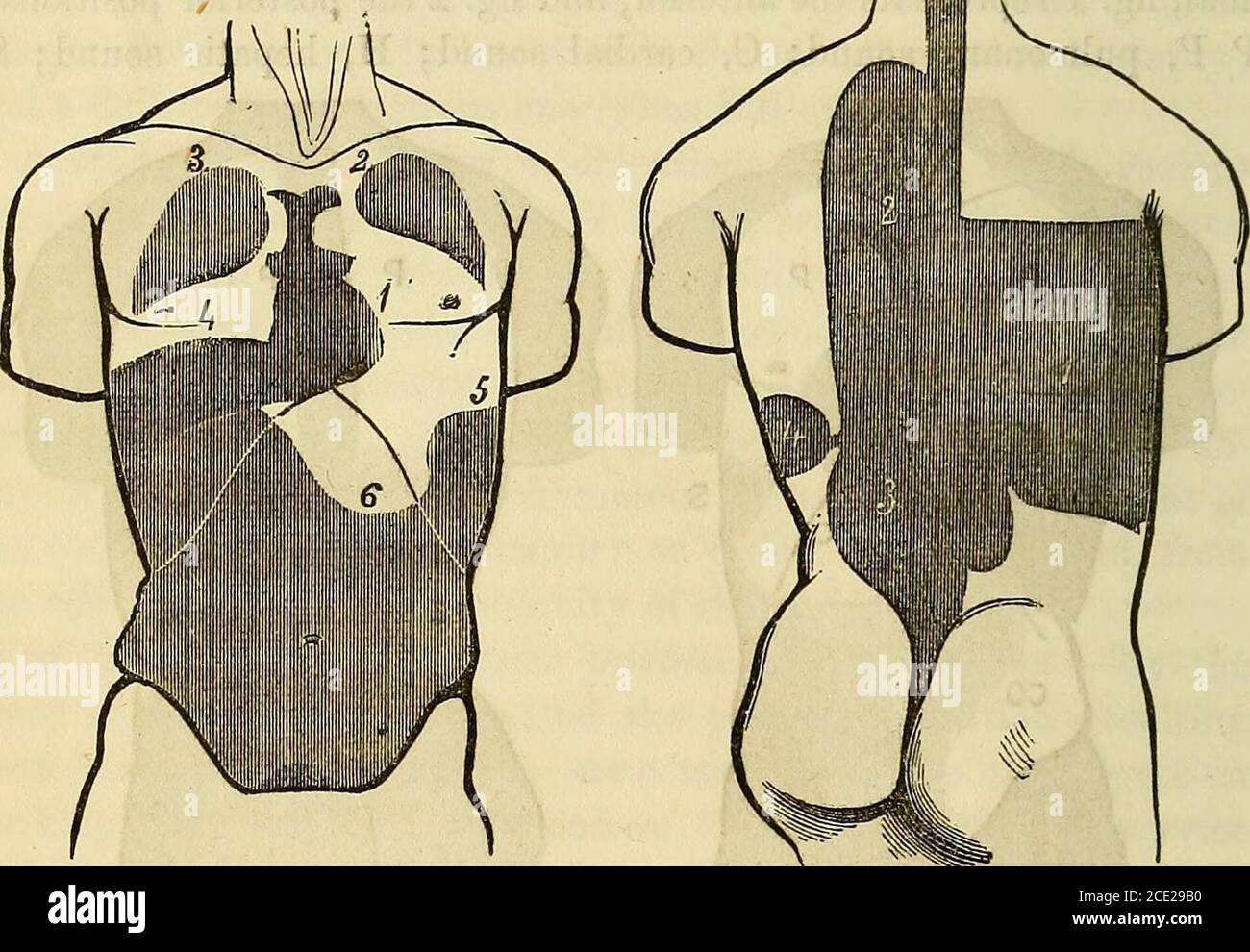 . A treatise on the principles and practice of medicine and pathology ...