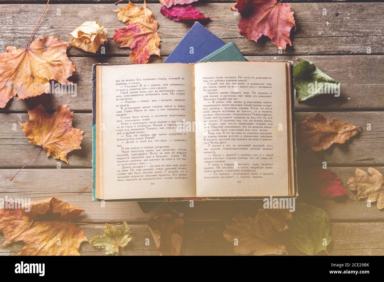 open book autumn leaves Stock Photo - Alamy