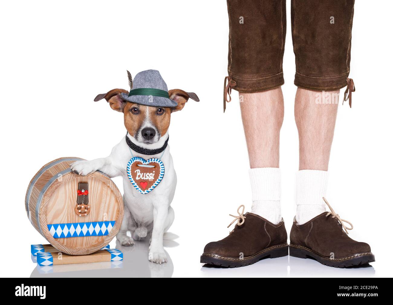 Dog man drunk hi-res stock photography and images - Alamy