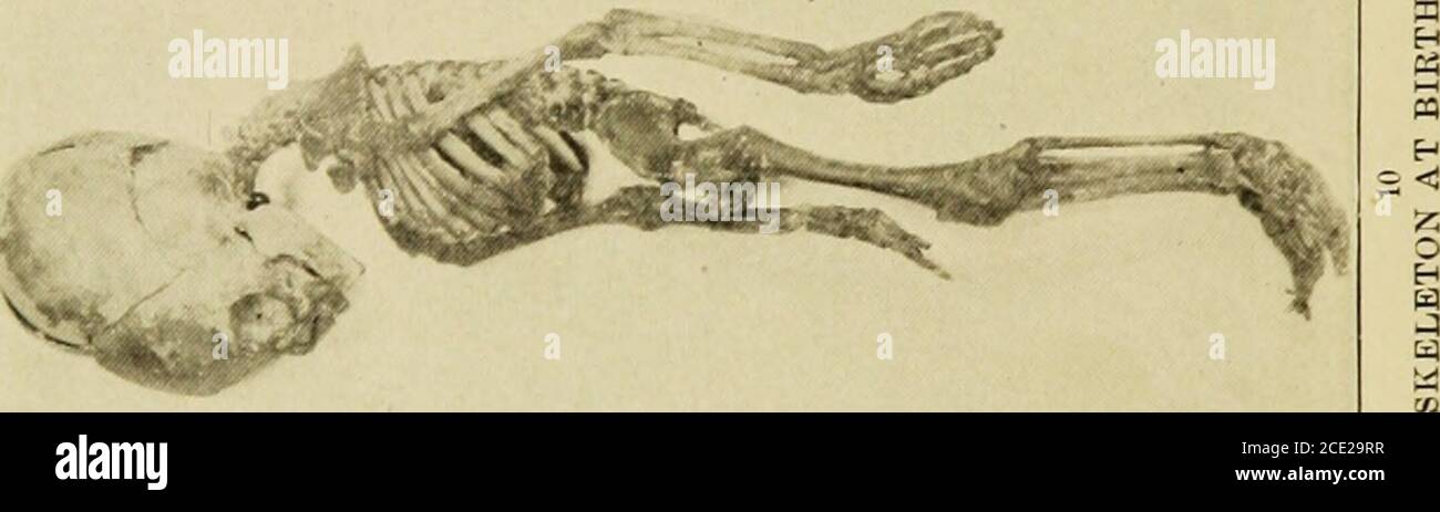 . Lessons on the anatomy, physiology and hygiene of infancy and ...