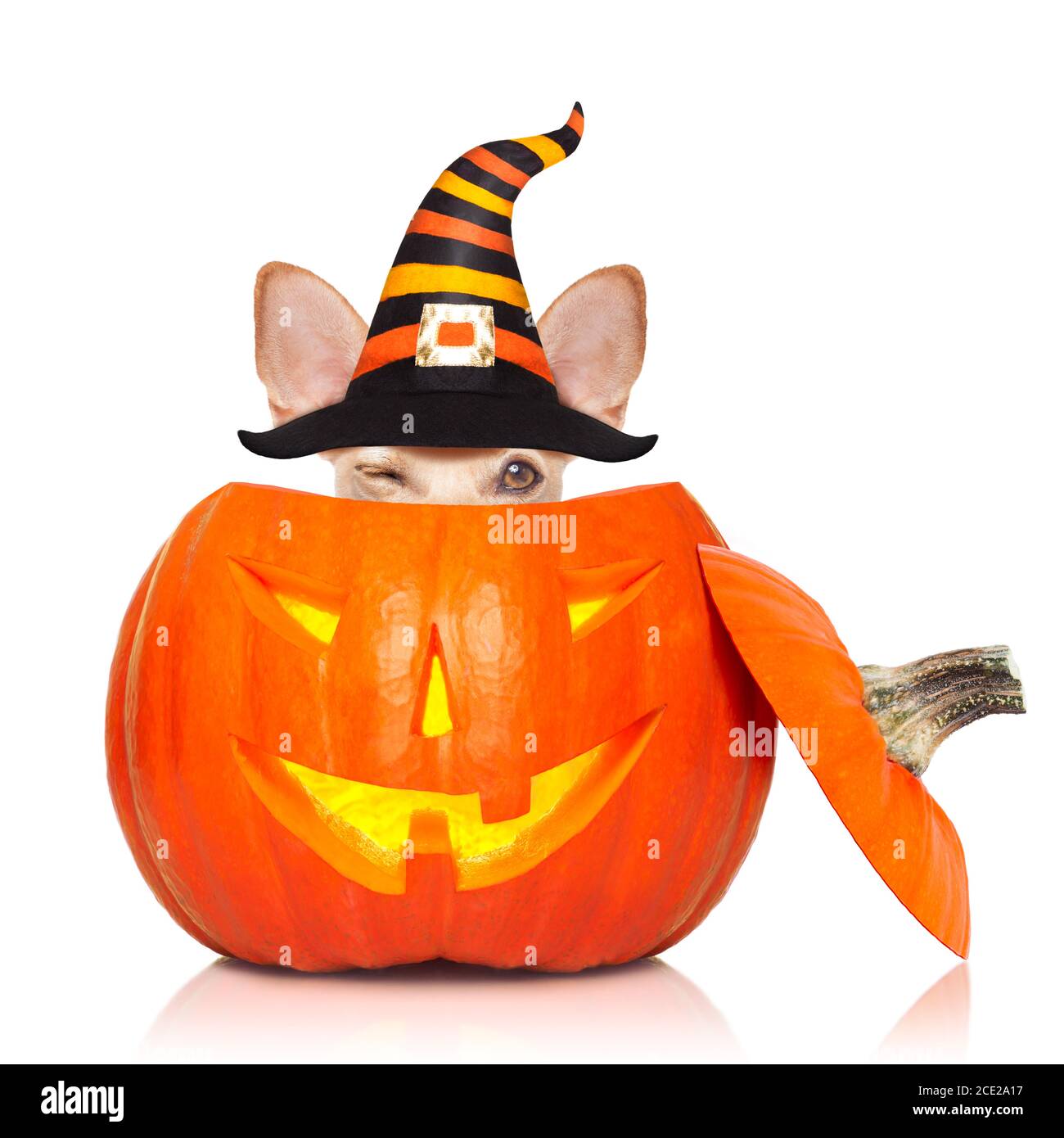 Costume halloween sheet Cut Out Stock Images & Pictures - Alamy