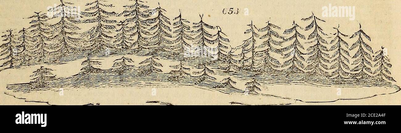 . An encyclopædia of gardening; . headed trees {fig. 654.), of ...