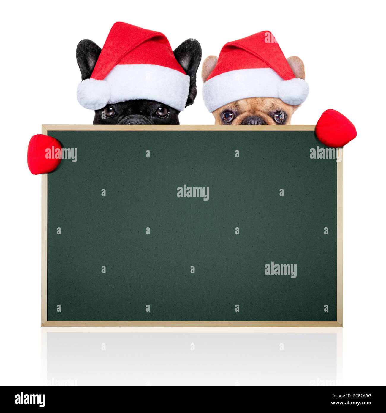 X mas dogs Cut Out Stock Images & Pictures - Alamy