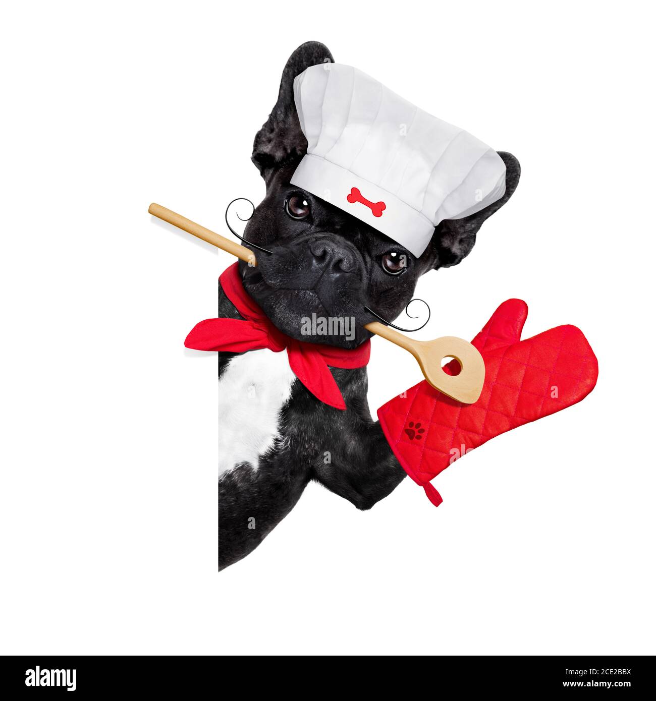 chef cook dog Stock Photo - Alamy