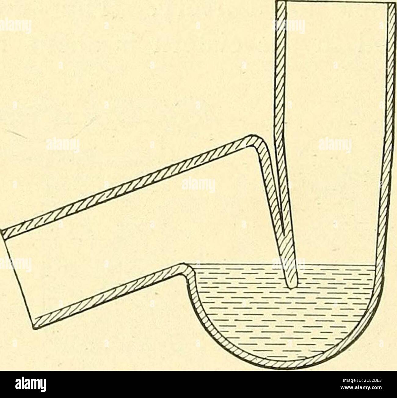 . The principles of hygiene; a practical manual for students ...