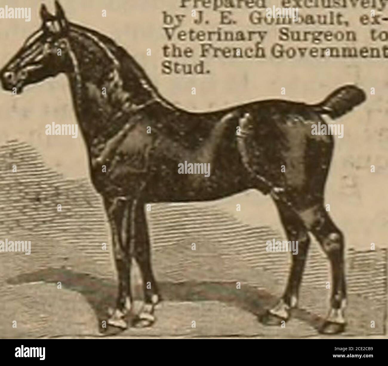 Don wills hi-res stock photography and images - Alamy