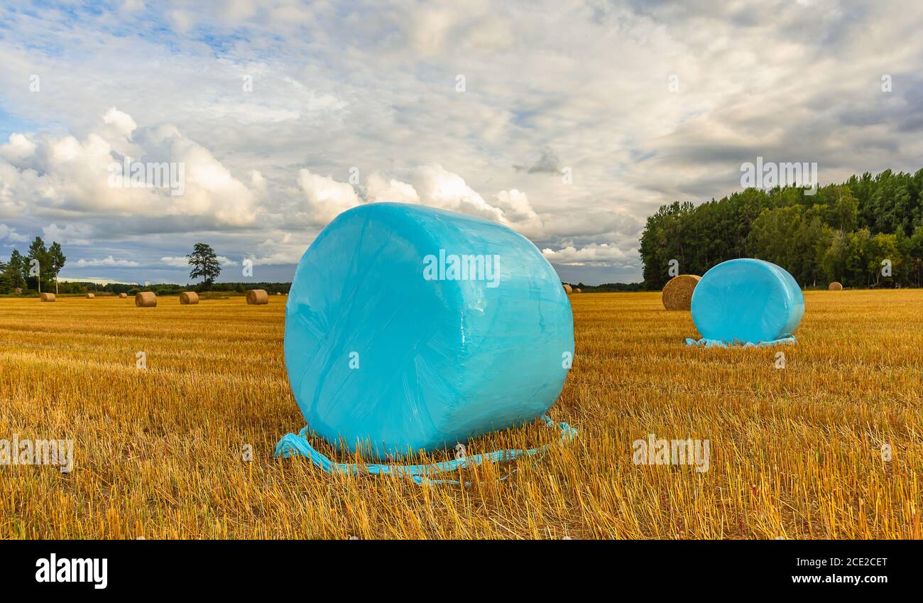 Swedish Farmers High Resolution Stock Photography and Images - Alamy