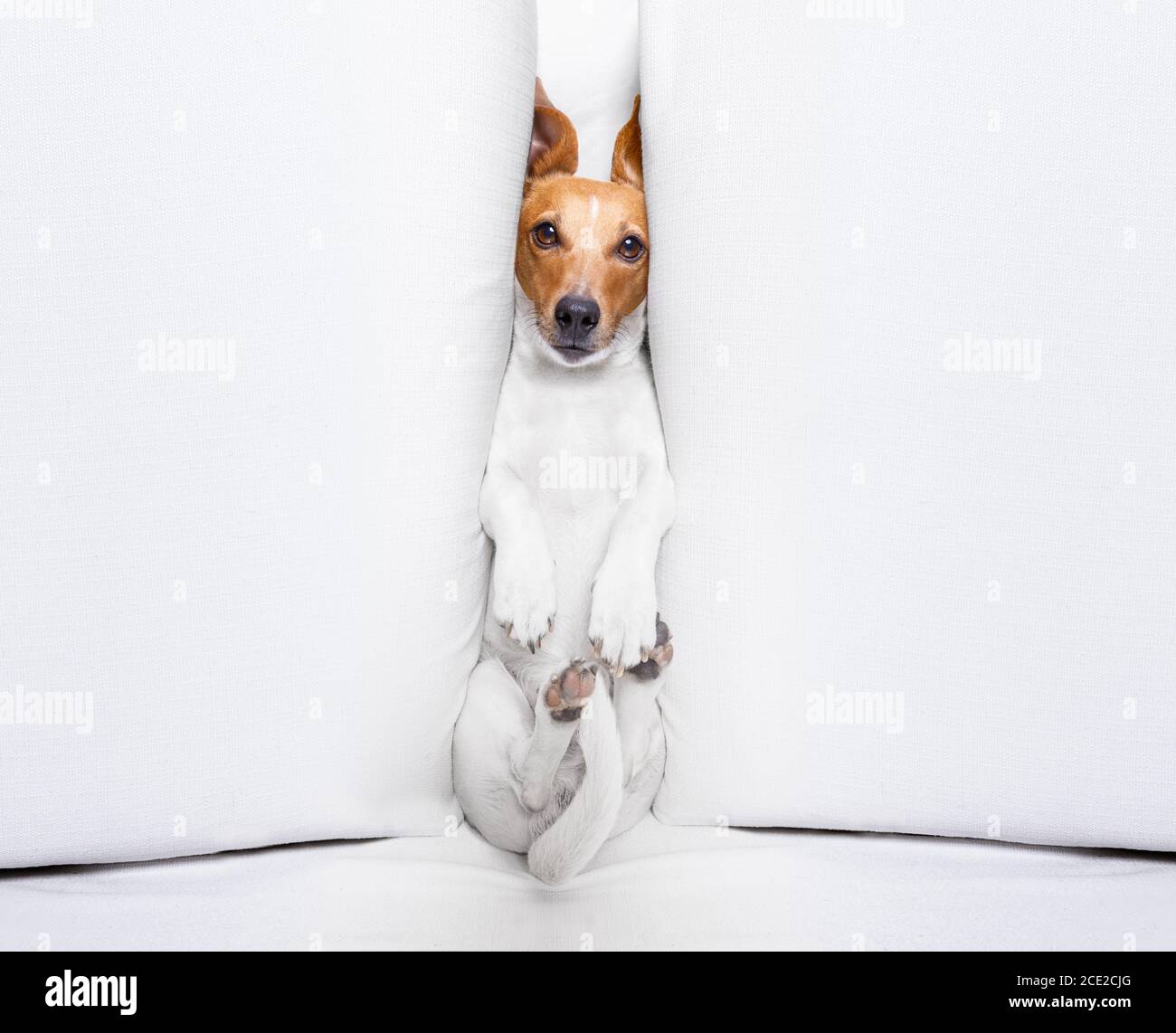 Burnout pressure hi-res stock photography and images - Alamy