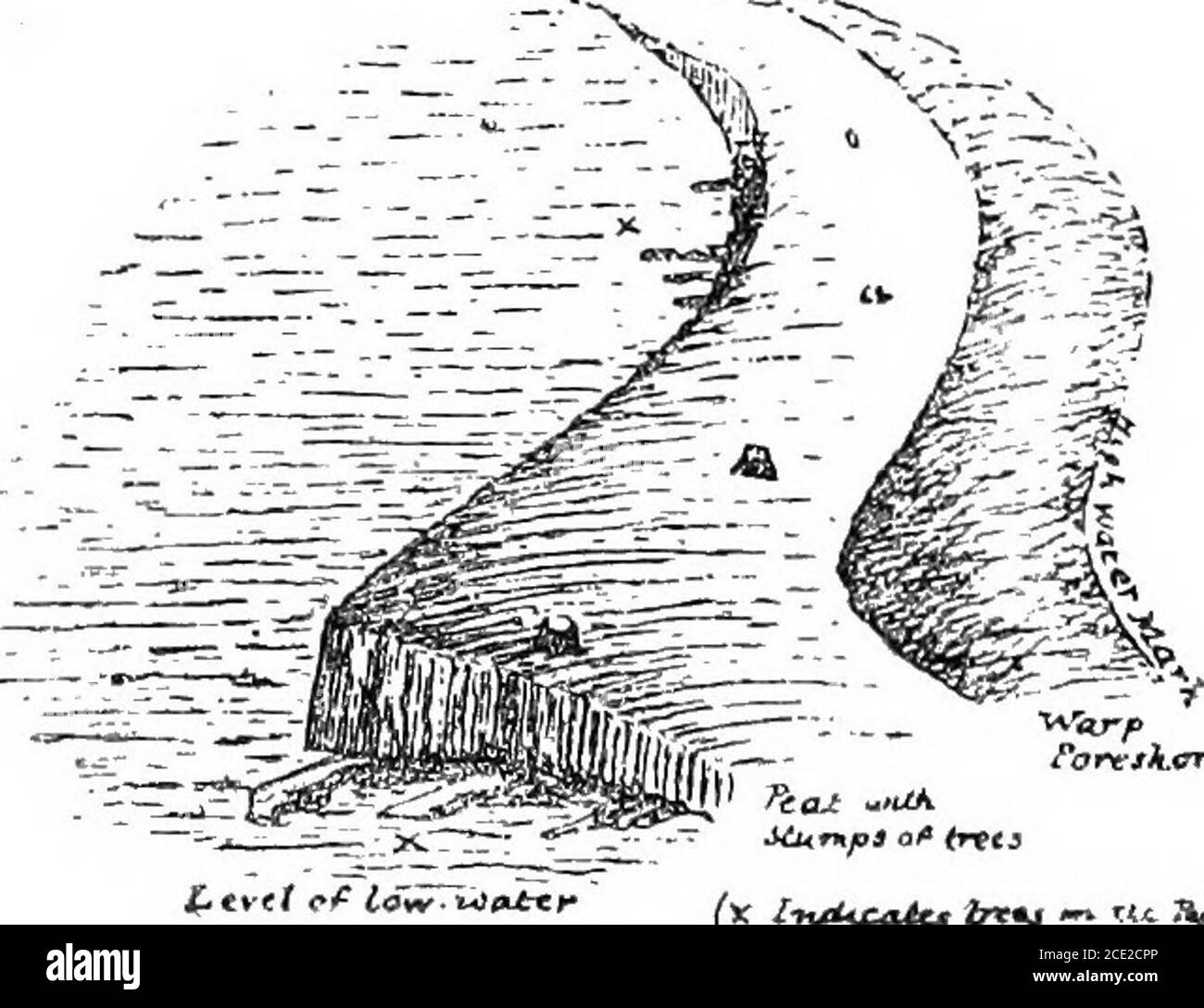 Estuary Drawing Easy Estuary Otters 8x10 Art Print – Found And