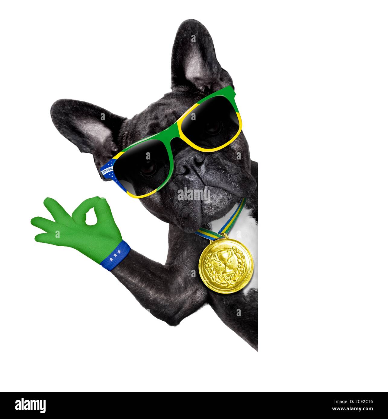 brazil soccer dog Stock Photo - Alamy