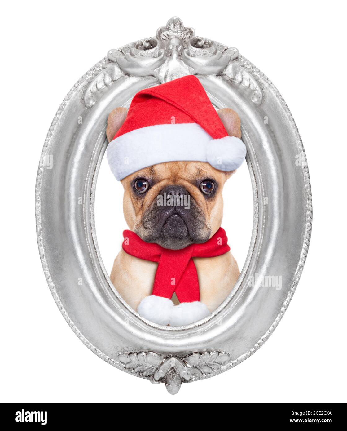 Hold photo frame pet hi-res stock photography and images - Alamy