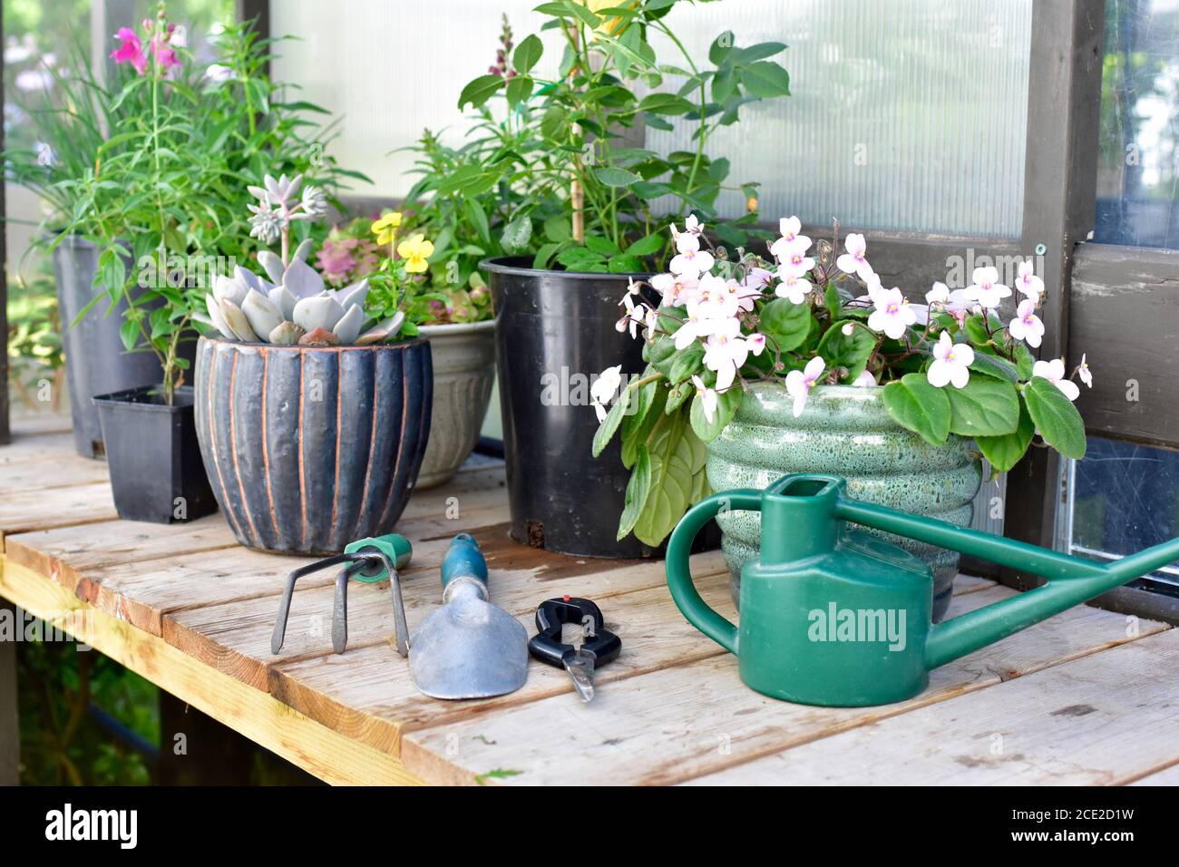 Sheltered outdoor garden work table with yard tools and potted growing ...