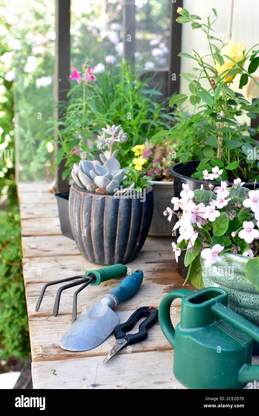 Sheltered outdoor garden work table with yard tools and potted growing ...