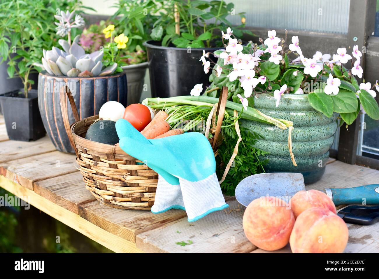 Sheltered outdoor garden work table with yard tools and potted growing ...