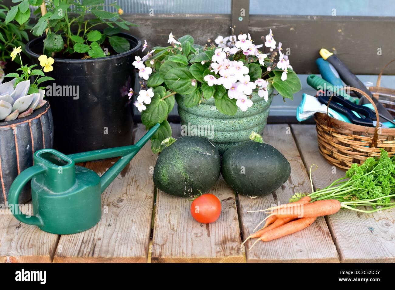 Sheltered outdoor garden work table with yard tools and potted growing ...